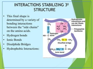 Quaternary structure of proteins | PPTX