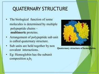 Quaternary structure of proteins | PPTX