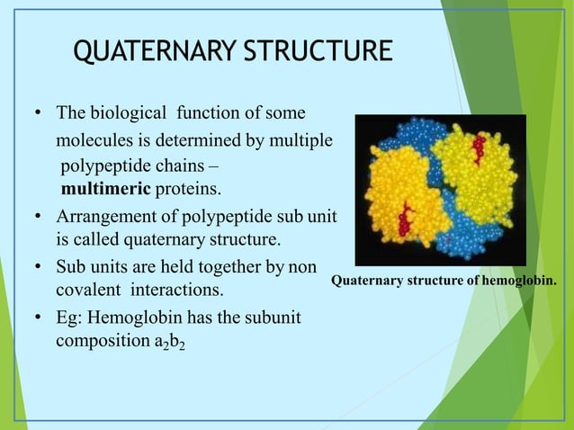 Quaternary structure of proteins | PPTX | Chemistry | Science