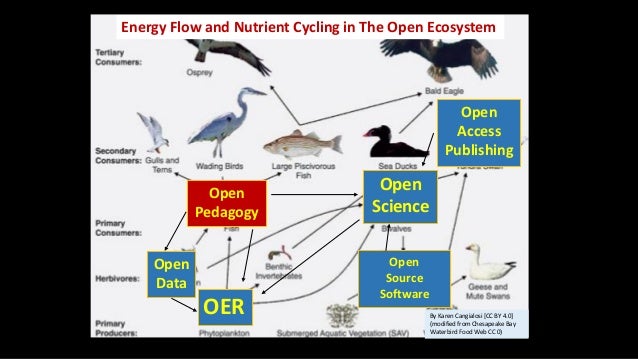 Interconnections in the Open Ecosystem