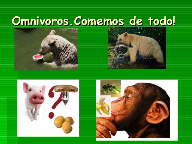 Qué comen los animales