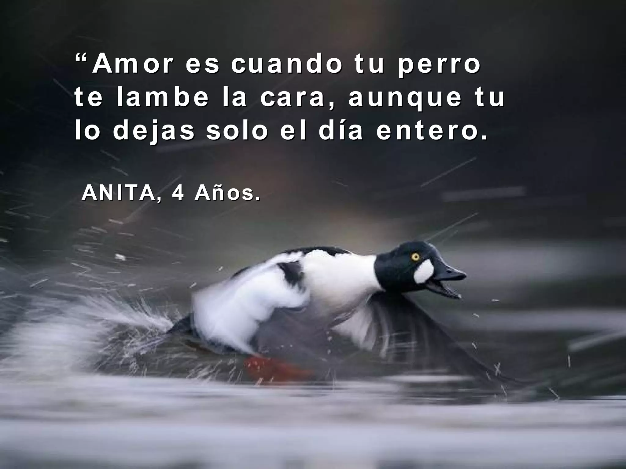 Que Es El Amor | PPT