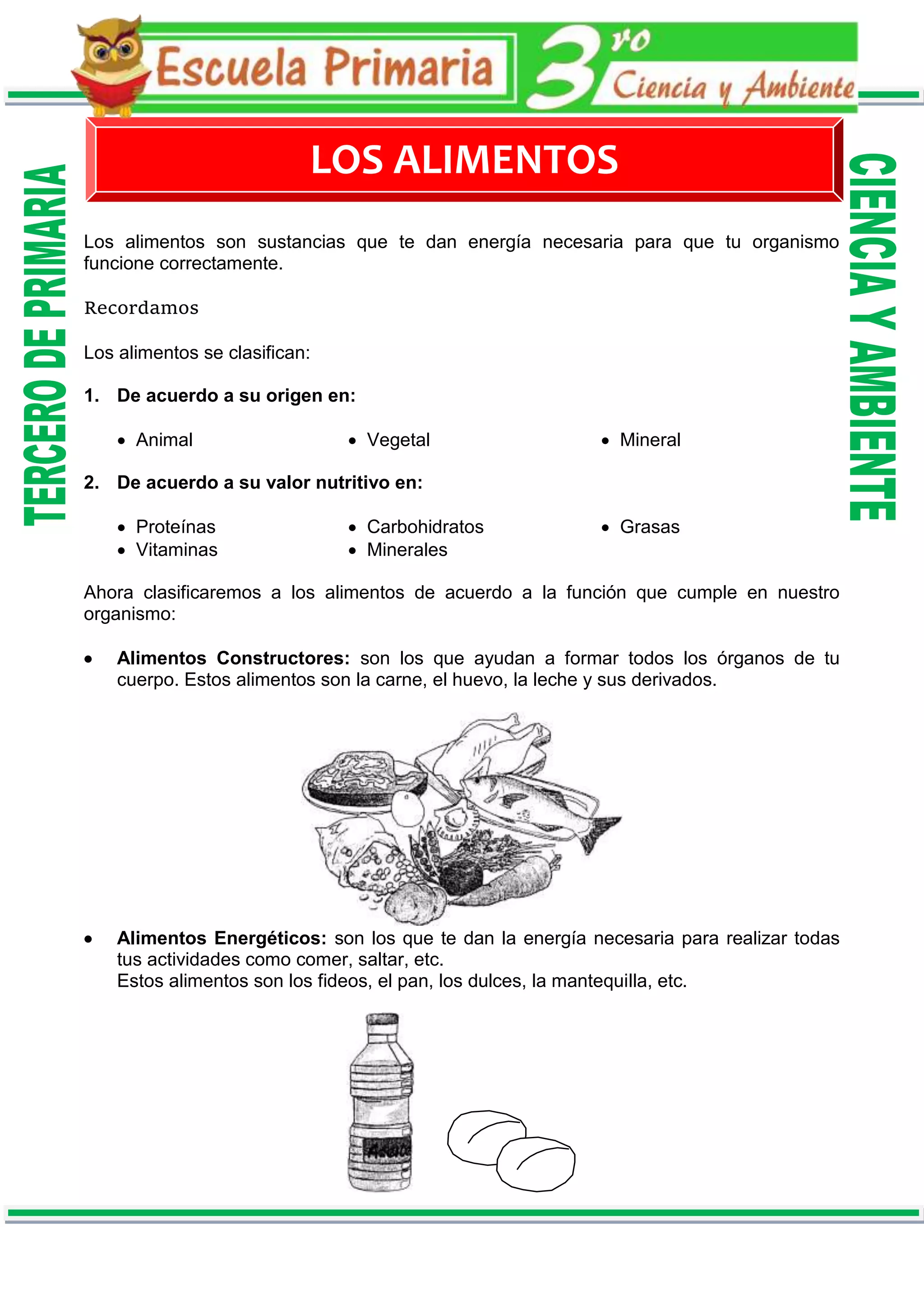 Que-son-los-Alimentos-para-Tercero-de-Primaria.doc