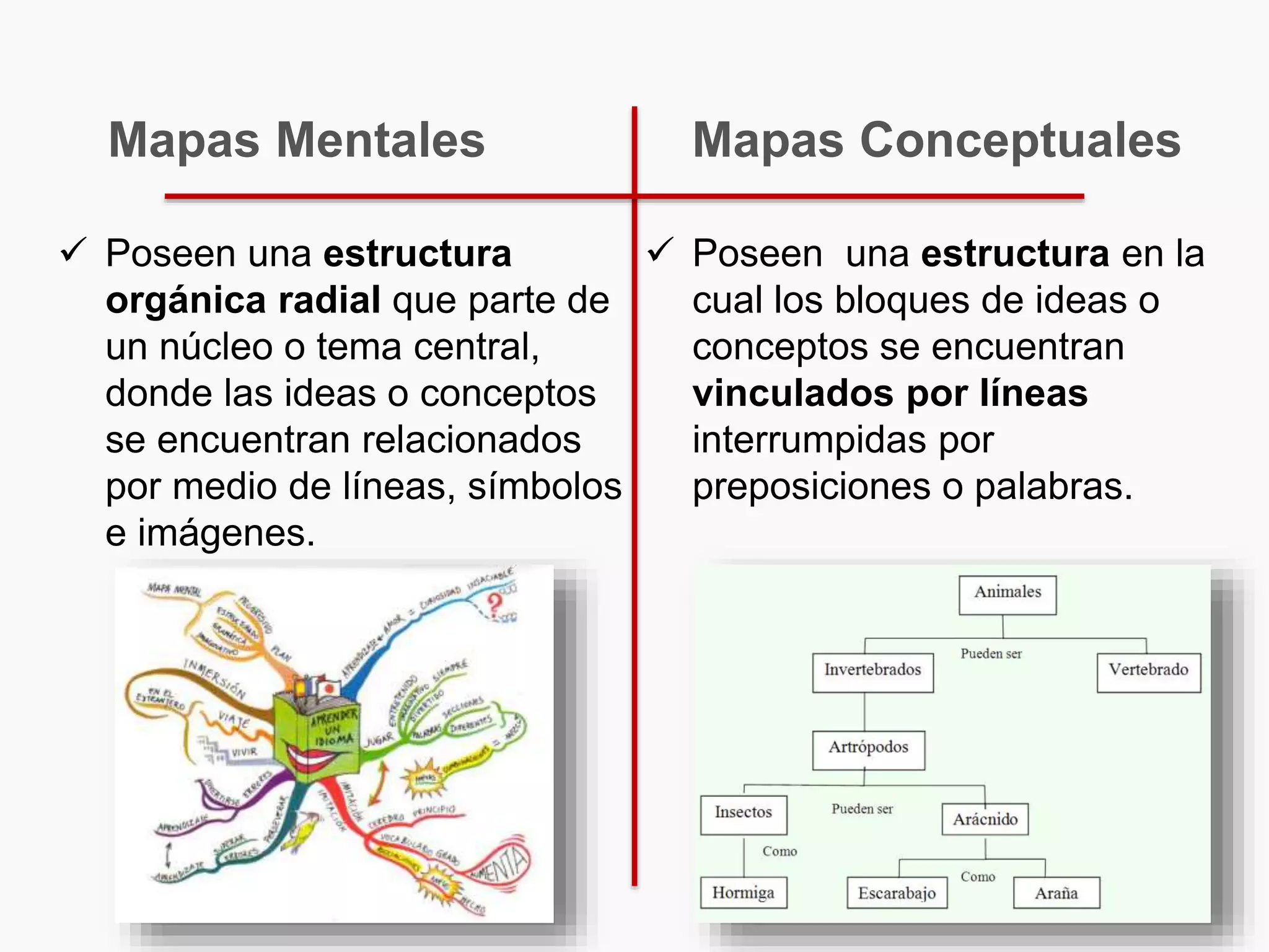 Que son-los-mapas-mentales | PPTX