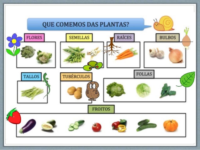 Que comemos das plantas?