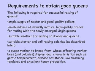 Queen-Rearing-Presentation is very important t | PPT
