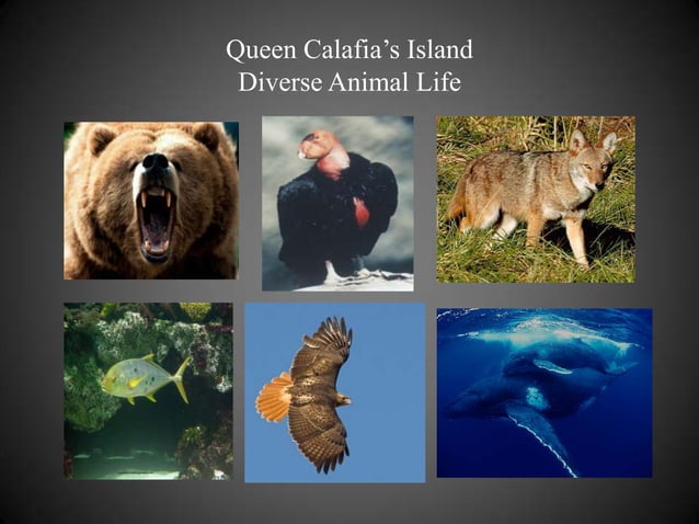 Queen Calafia's Island | PPTX