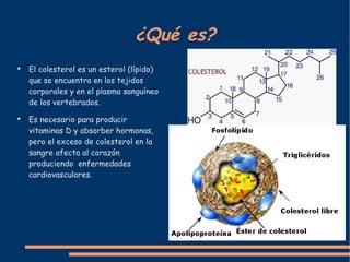 Que es el Colesterol | PPT