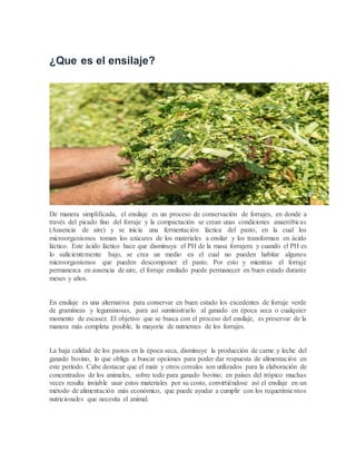 Que es el ensilaje.docx