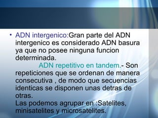 ¿Que es el genoma | PPT | Genetics | Science