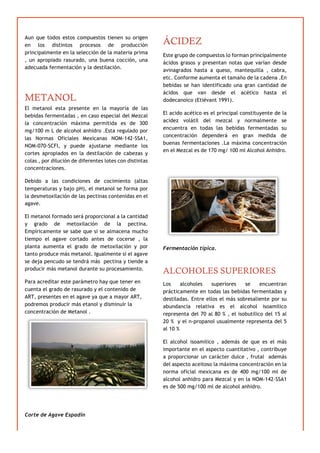 Que es el mezcal | PDF