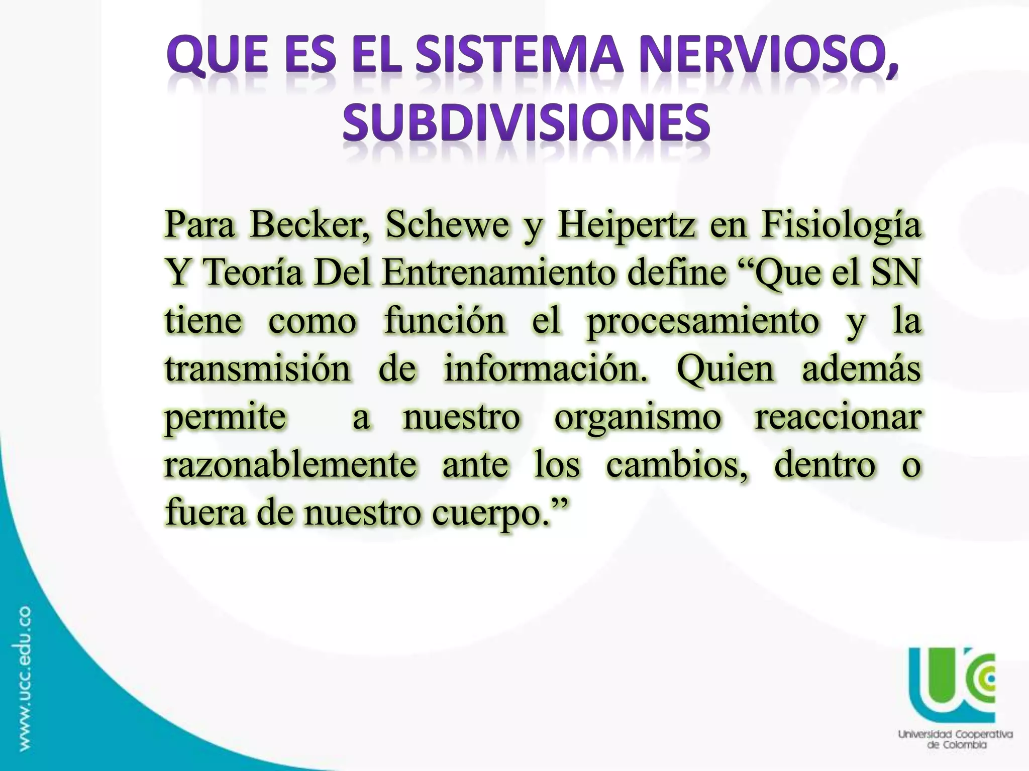 Que es el sistema nervioso, subdivisiones | PPTX