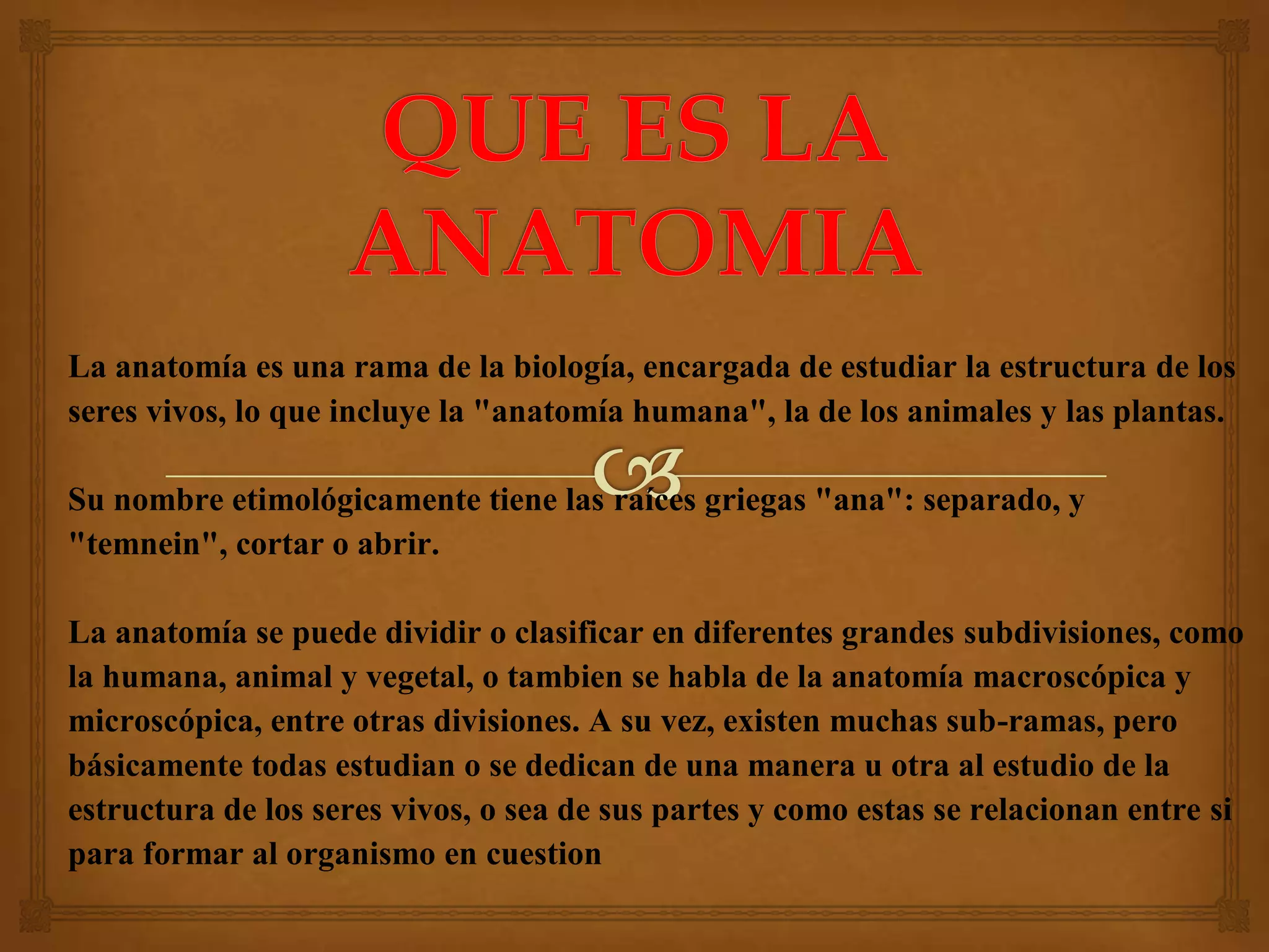 Que es la anatomia | PPTX | Biological Sciences | Science
