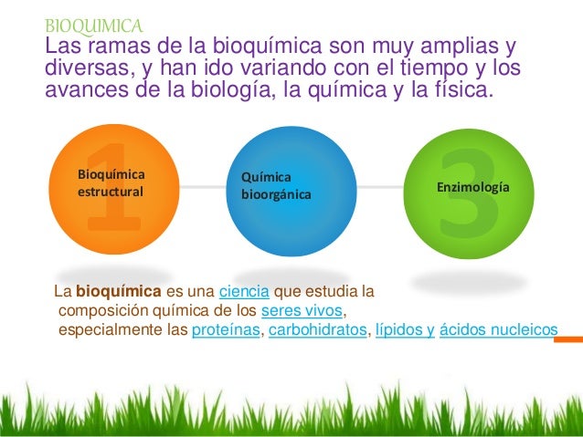 Que es la bioquimica