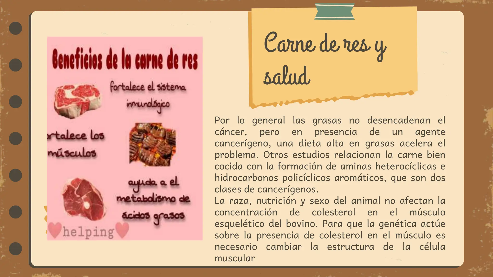 QUE ES LA CARNE DE RES.pptx