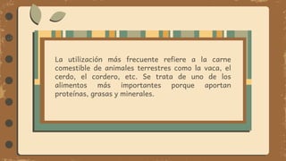 QUE ES LA CARNE DE RES.pptx