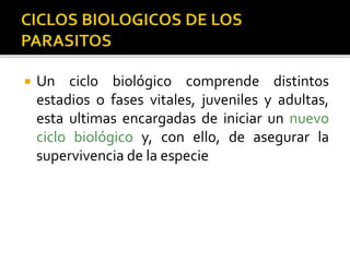 Ciclo biologico monoxenico | PPTX