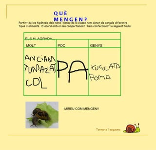 Que fan els cargols al pati | PPT