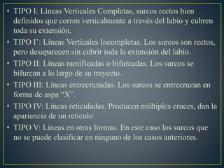 Queiloscopia y Rugoscopia ODONTOLOGIA FORENSE | PPTX