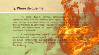 QUEIMA CONTROLADA.pptx