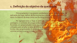 QUEIMA CONTROLADA.pptx