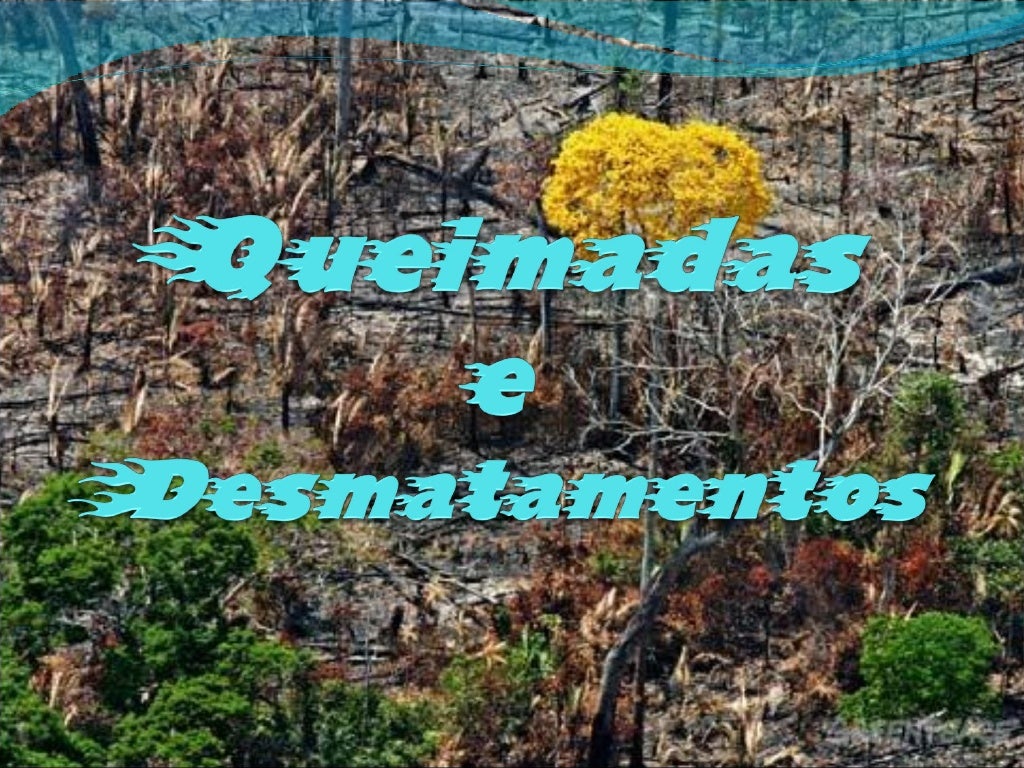 Queimadas e desmatamentos