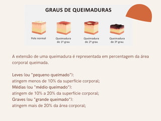 Material para aula de queimaduras: química | PDF
