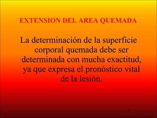 Quemaduras | PPT