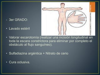 Quemaduras | PPTX