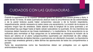 las Quemaduras | PPTX