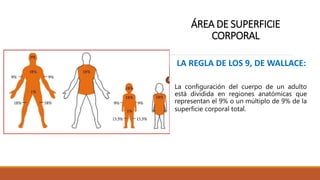 Quemaduras - Lesiones Térmicas | PPTX
