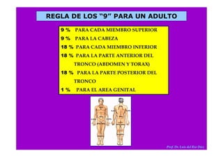 Quemaduras catedra de clinica quirurgica | PDF