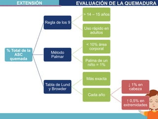 Quemaduras en Pediatría | PPTX