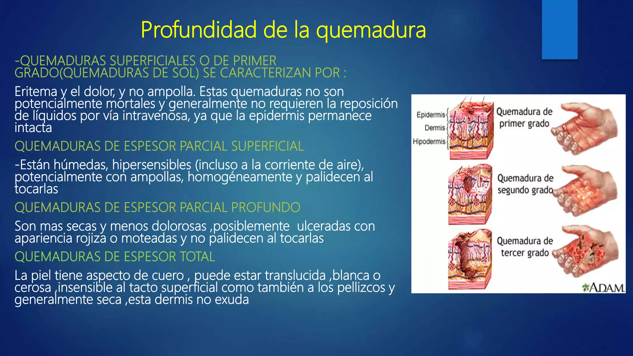 QUEMADURAS_Y_LESIONES_TERMICAS original.pptx