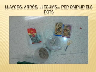 Feim unes maraques!! | PPTX