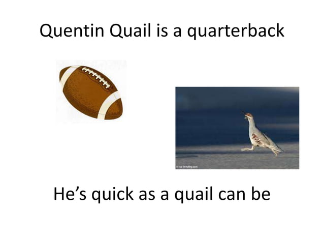Quentin quail | PPTX