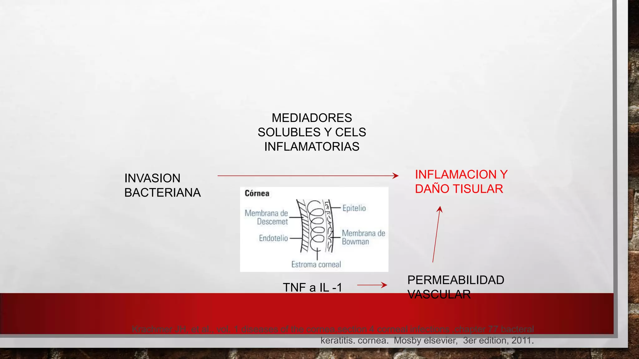 Queratitis bacteriana | PDF