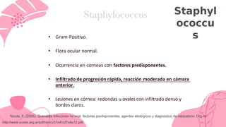 Queratitis_infecciosa en el ojo humano presentacion | PDF