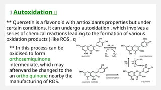 Antioxidant properties of quercetin secondary metabolites.pptx