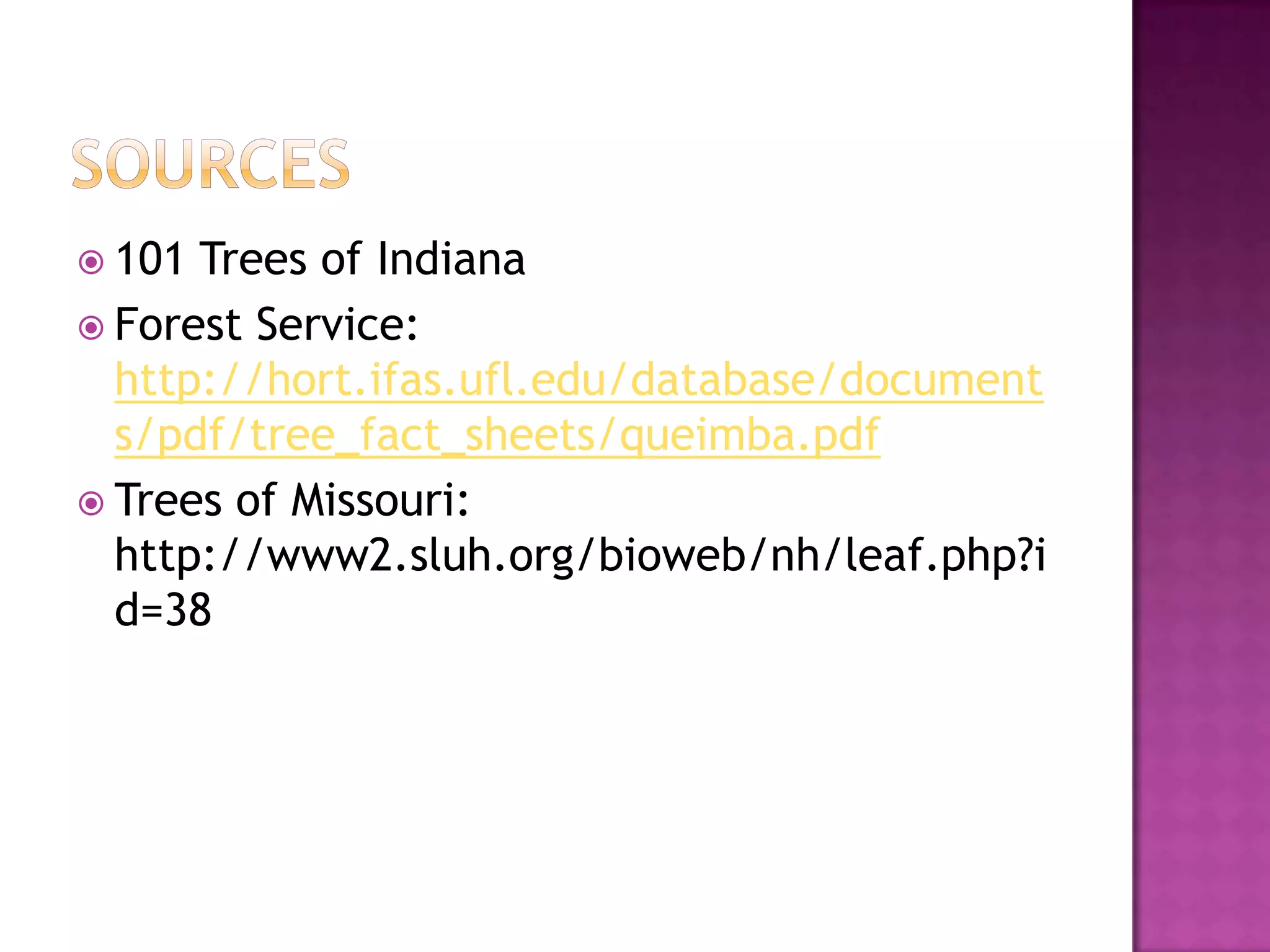Quercus imbricaria | PPT