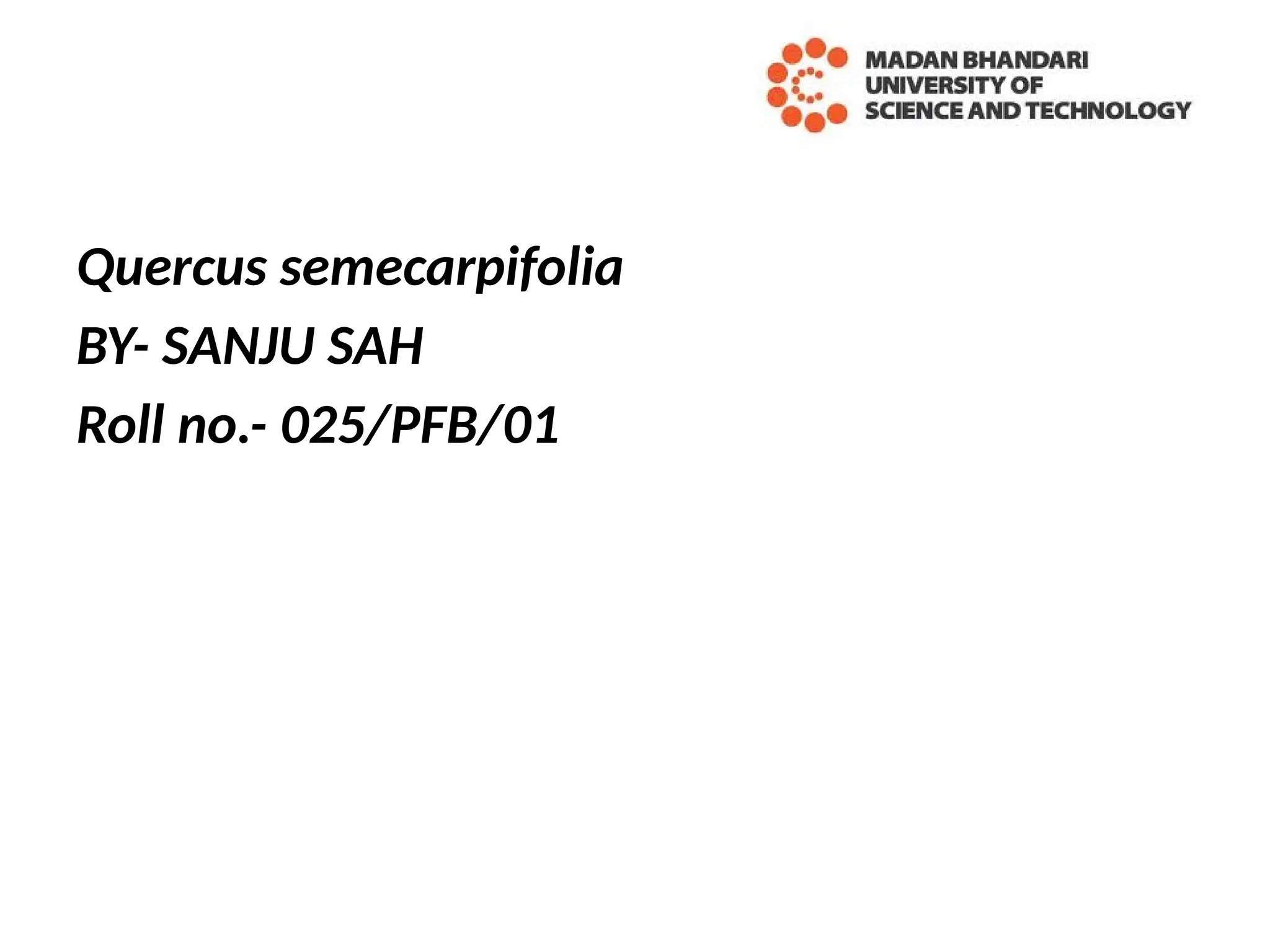 Quercus_semecarpifolia dominant Himalaya oak tree | PPTX