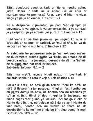 Queretaro Otomi Youth Christian Tract.pdf