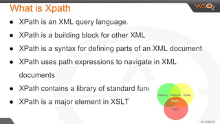 Querring xml with xpath | PDF