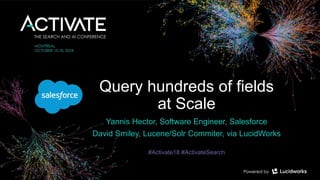 Query Hundreds of Fields at Scale - Yannis Hector, Salesforce & David ...
