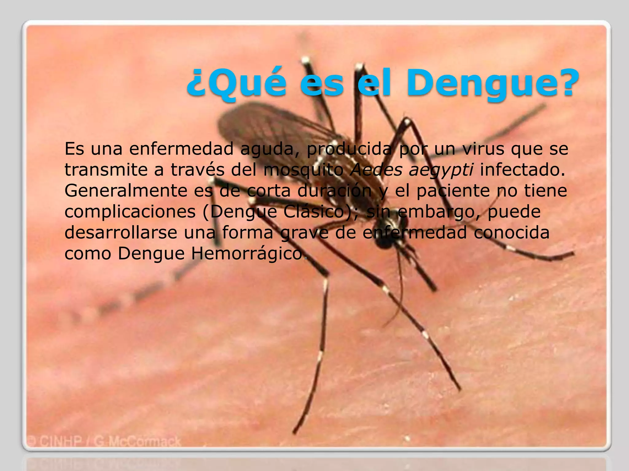 Qué es el dengue | PPTX