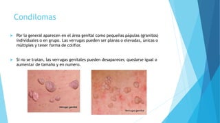 queselvphycualesson-170809180148.pdf