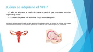 Qué es el vph y cuales son | PPTX