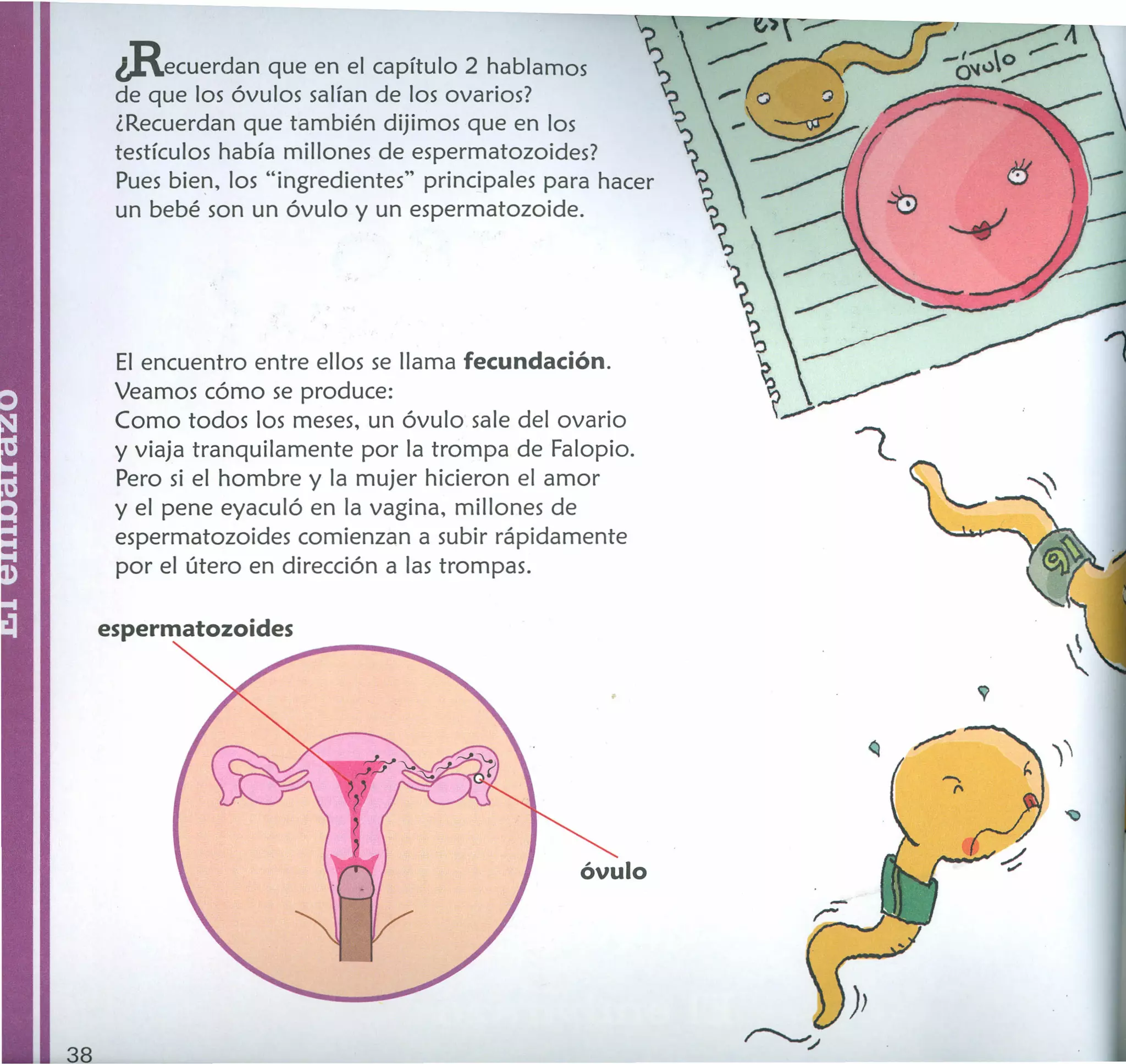 ¿qué Es Esto La Sexualidad Explicada Para Niños Pdf