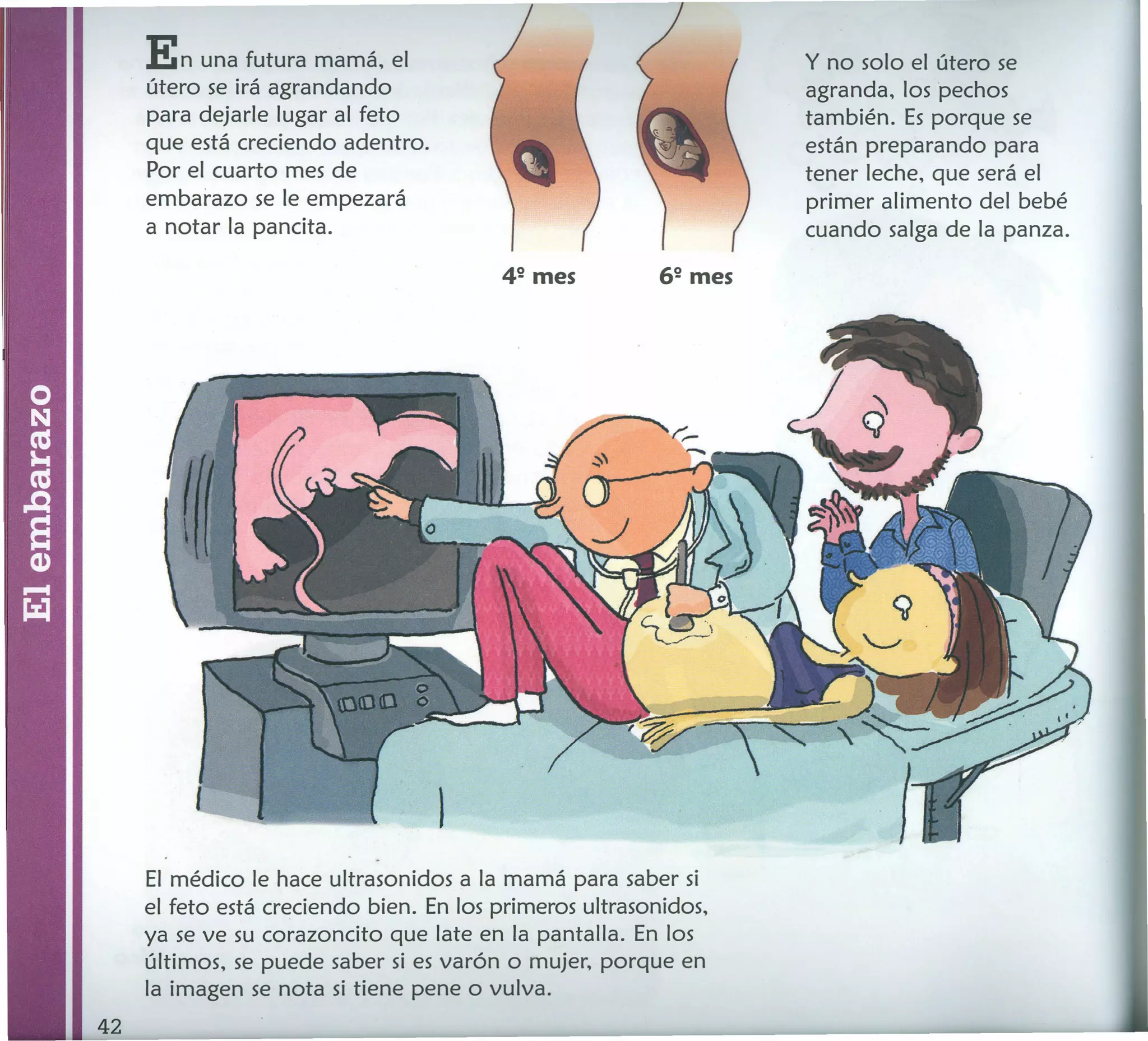¿qué Es Esto La Sexualidad Explicada Para Niños Pdf