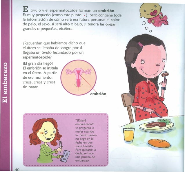 ¿qué Es Esto La Sexualidad Explicada Para Niños Pdf